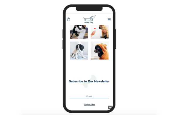 How to Create an Online Pet Store - [Ultimate Guide]